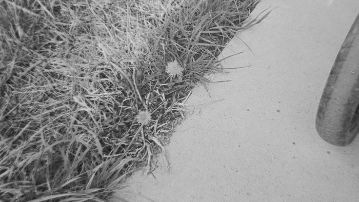 The Photo Game: Opposition